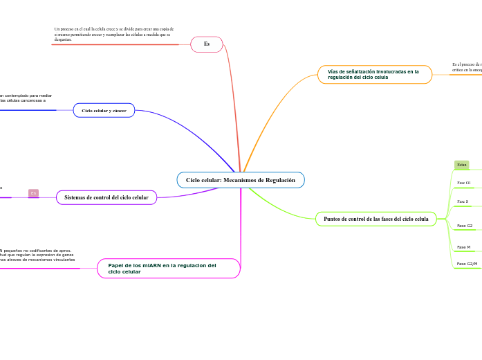 Ciclo celular: Mecanismos de Regulación - Mind Map